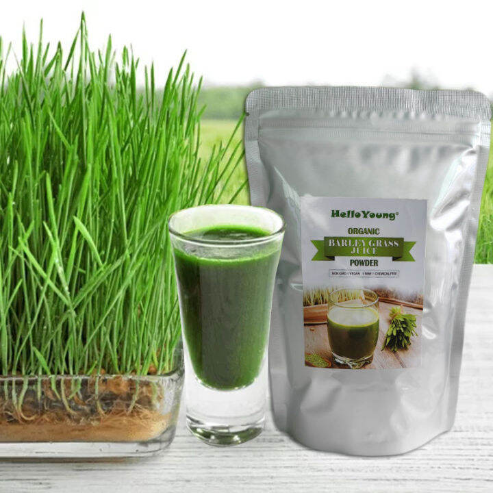 Organic Barley Grass Powder 250g original with Rich Dietary Fiber, No ...