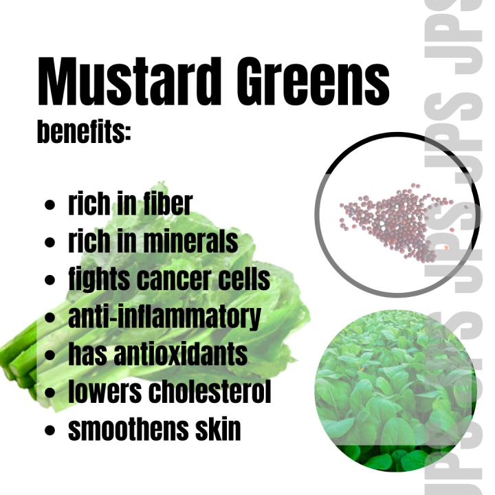 Mustasa Seeds approximately 150pcs (repack) with Free Fertilizers ...