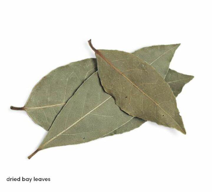 Bay Leaves / Bay Leaf 月桂叶 Daun Bay /Duan Salam / Daun Kesum (Turkey) 50gm | Lazada