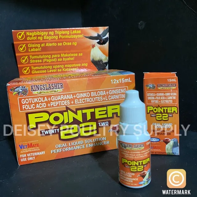 Pointer 22 for pigeon & fighting cocks 15ml | Lazada PH