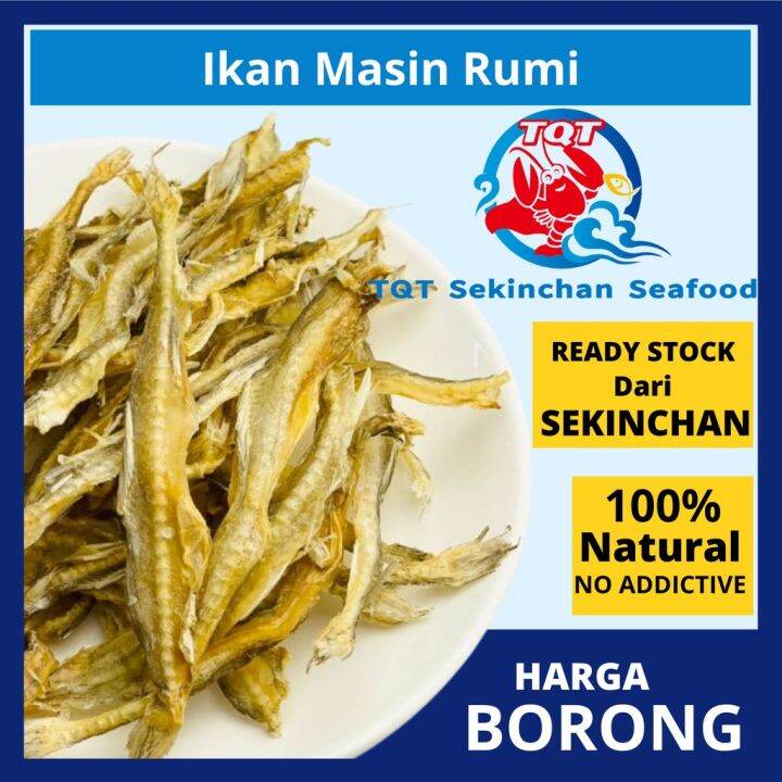 SEKINCHAN Ikan Masin Rumi 100g+- 300g+- Borong | Lazada