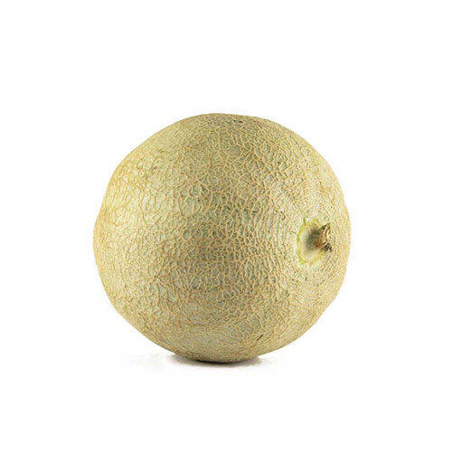 Zagana Farm Fresh Fruits Market Sweet Melon 1kg | Lazada PH