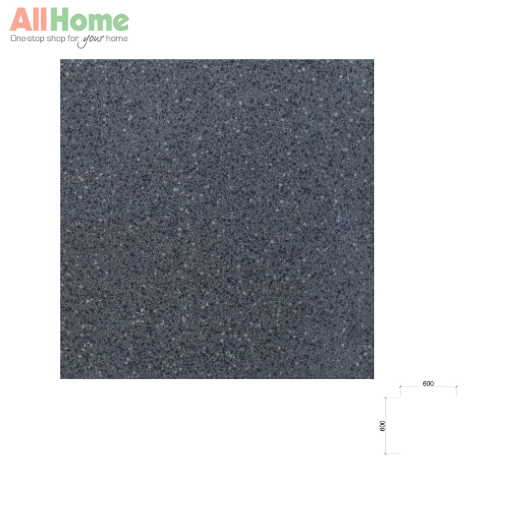 Lustro Tny 60X60 6925 Frigid Graphite Tiles for Floor | Lazada PH