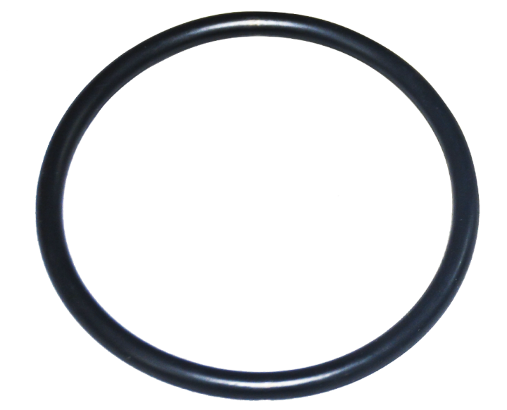 Pentair 35505-1425 O-Ring for S7MD60/S7MD72/S7D75 | Lazada PH