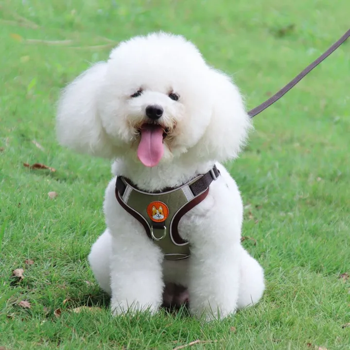 DGFDF สะท้อนแสงลูกสุนัขแมวอุปกรณ์สัตว์เลี้ยงนุ่มสุนัขสายรัดหน้าอกเทียม ...