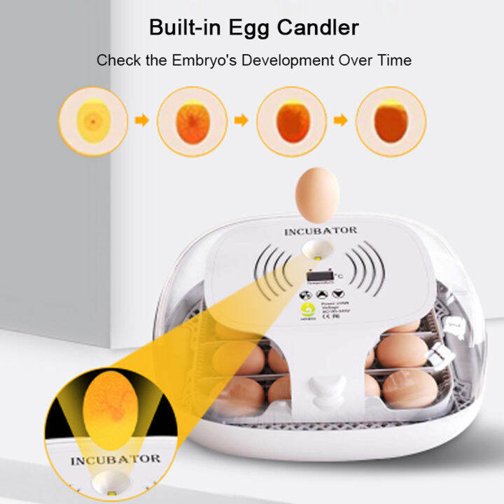 Egg Incubator for Hatching with Automatic Egg Turning Led Egg Test Lamp ...