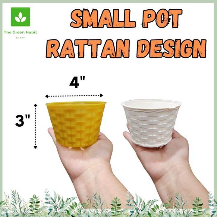 TGH Small Rattan Pot design for plants, pots for cactus and succulents ...