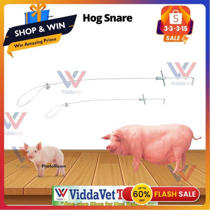 Viddavet Adjustable Pig Holder Hog Catcher Snare Trap | Lazada PH