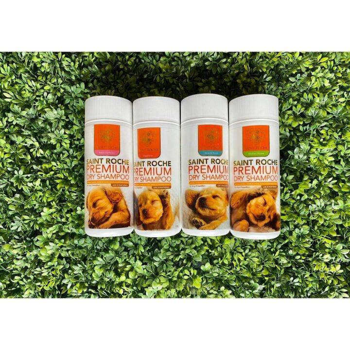 Saint Roche Premium Dry Shampoo 128g | Lazada PH