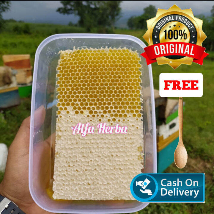 madu sarang asli murni ORIGINAL 500 gram | Lazada Indonesia