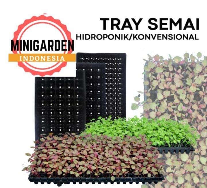 TRAY SEMAI POT TRAY 288 LUBANG Traypot Bibit Biji Nampan Benih Seedling ...