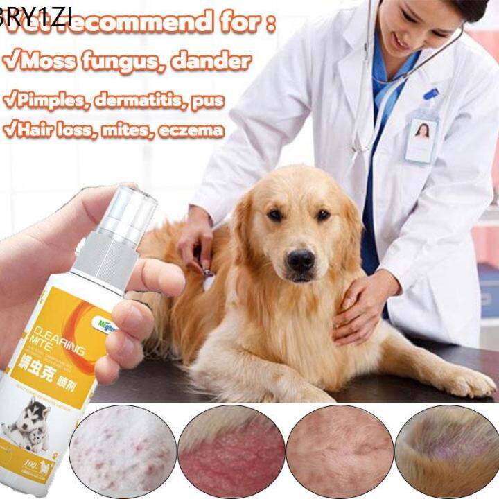 【Pet Hospital】100ML mange treatment for dogs animal wound spray gamot ...