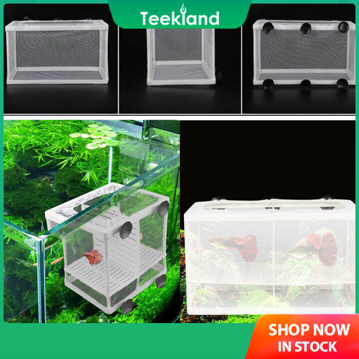 Teekland Aquarium Hatchery Net Fish Breeder Isolation Box Fry Hatching ...