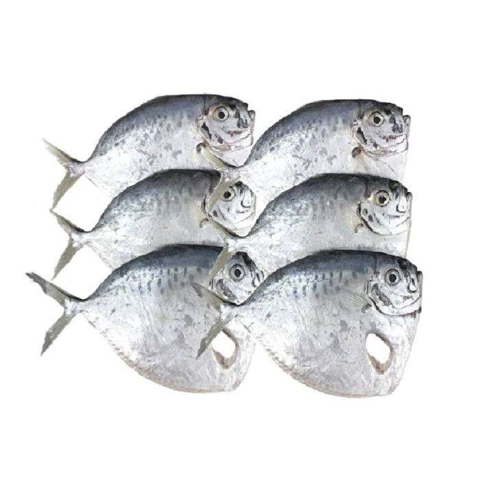 Frozen Hiwas "Moon Fish" Cleaned (400-500g) | Lazada PH