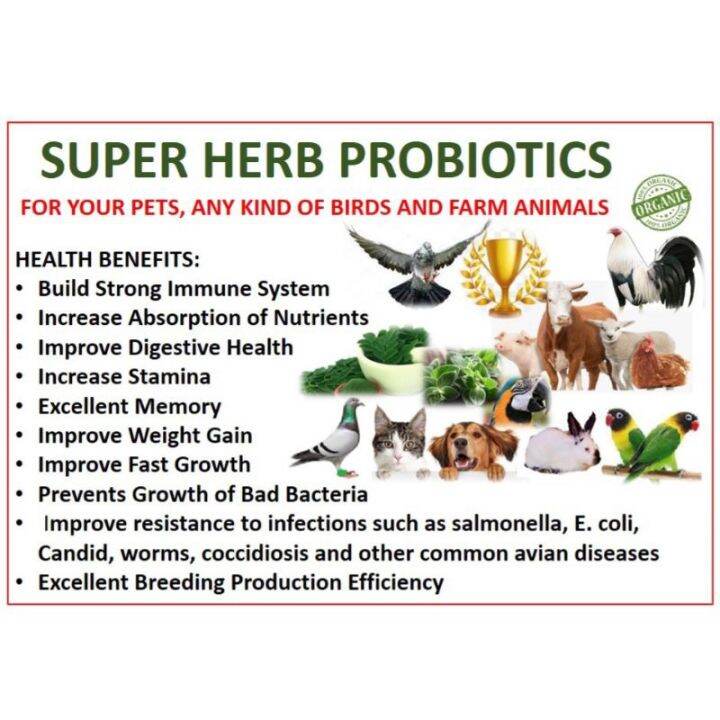 ♕Super Herb Probiotics 500ML♒ | Lazada PH