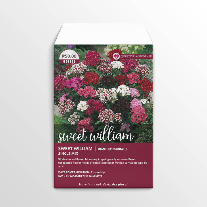 Sweet William Single Mix Seeds | Lazada PH