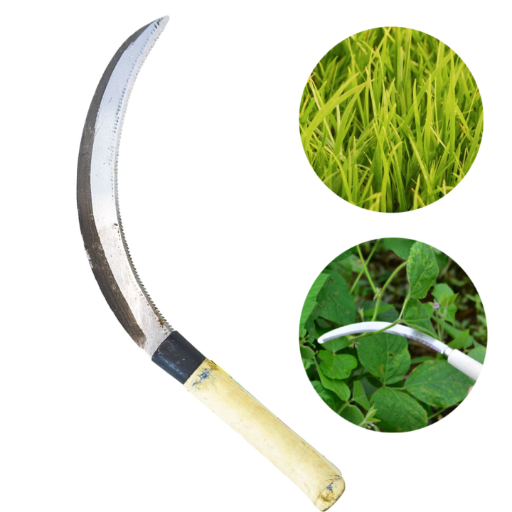 Pang-Gapas - Set of 1 Garden Grass Sickle Blade Sharp Hand Garden Tools ...