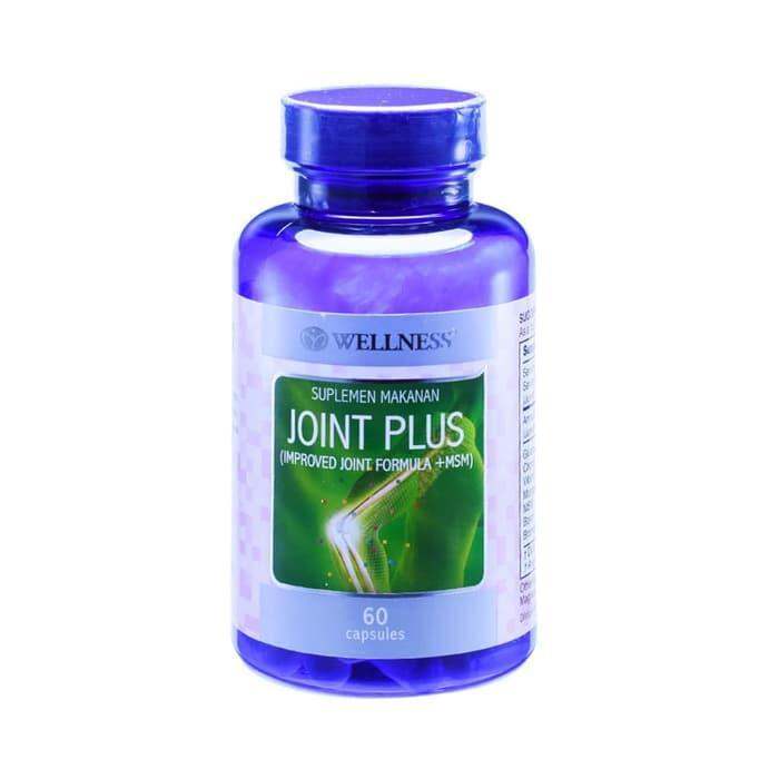 WELLNESS JOINT PLUS 60 CAPSULES + MSM - SUPLEMEN NYERI SENDI REMATIK ...