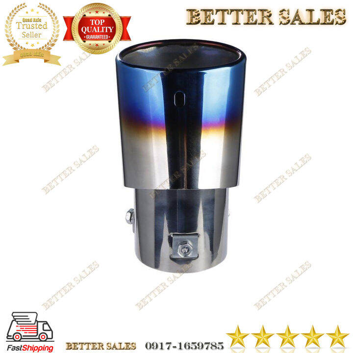 TOYOTA WIGO MUFFLER TIP CURVE | Lazada PH