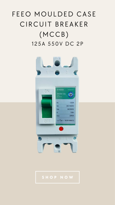 125A Moulded Case Circuit Breaker (MCCB) FEEO | Lazada PH