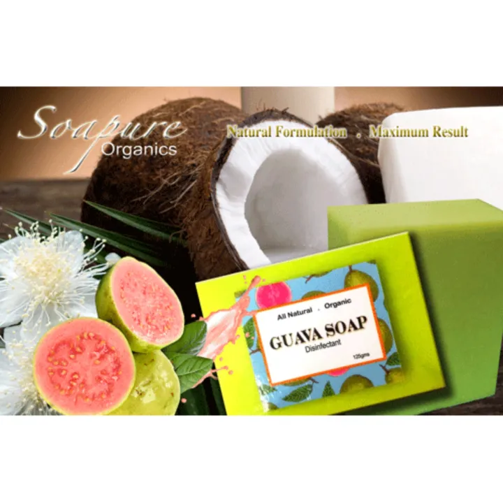 GUAVA SOAP | Lazada PH