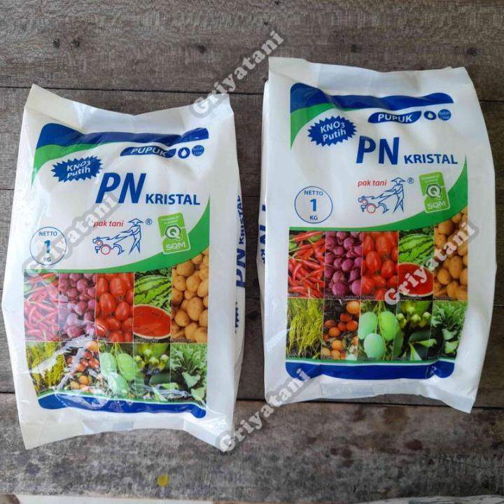 Pupuk PN Kristal 1 KG KNO3 kristal Potassium Nitrat Kemasan Pabrik ...
