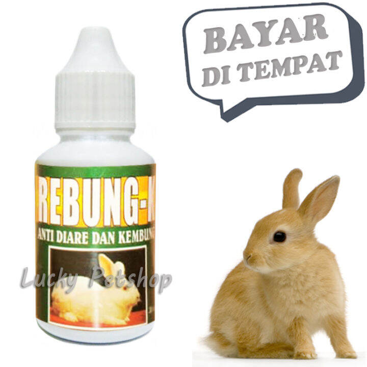 Obat Kelinci Mencret Diare Kembung REBUNG K High Concentrated | Lazada ... Obat Kelinci Mencret Diare Kembung REBUNG K High Concentrated | Lazada ...