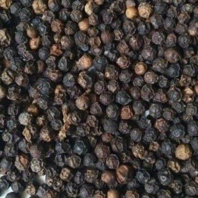 LADA MERICA HITAM BULAT 1 KG KHAS BANGKA | Lazada Indonesia