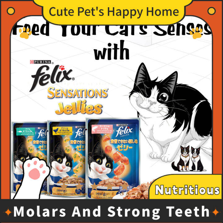 FELIX® Sensations Jellies - Chicken & Spinach Delight (12 x 85g Packs ...