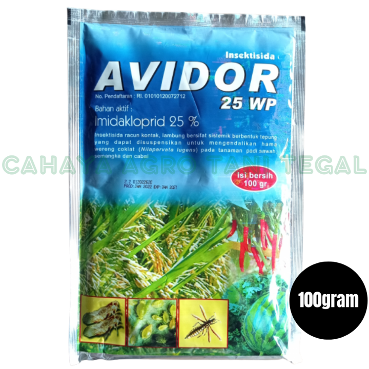INSEKTISIDA AVIDOR 25 WP - 100 GRAM | Lazada Indonesia