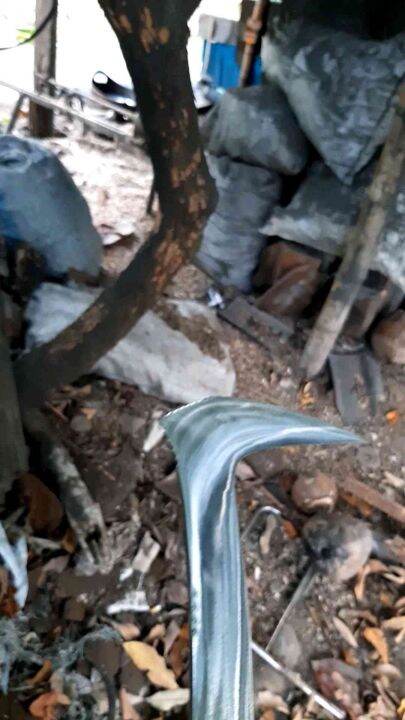 calok babat ranting kayu kebun sawah rumput liar | Lazada Indonesia