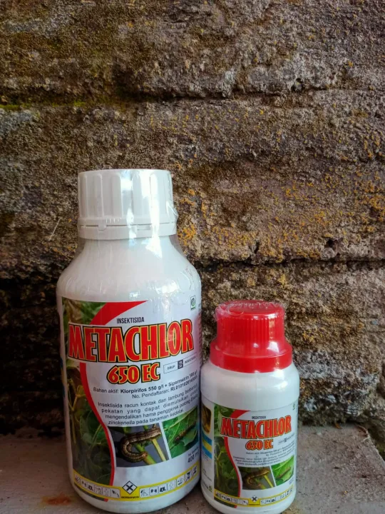 Insektisida METACHLOR 65 EC Pembasmi Hama Ulat Wereng dan Kungkang ...