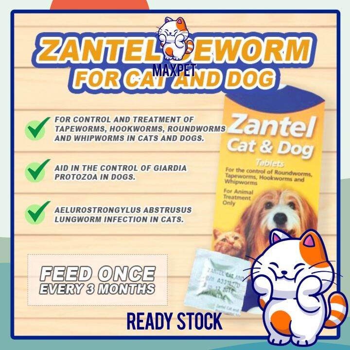 Maxpet Zantel Cats & Dogs Tablets Ubat Cacing Deworm Medication ...