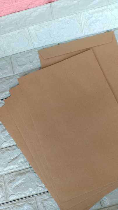Brown Envelope - Manila - 10-inch x 15-inch | Lazada