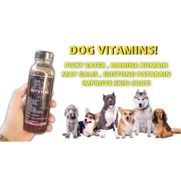 Pet's fuel(authentic)for dog and cats vitamins pampataba pampasigla ...