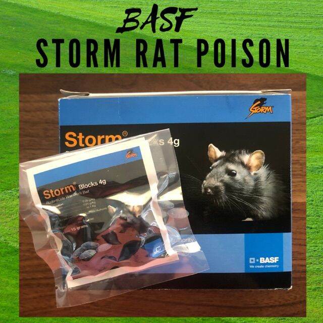 1 pack BASF 4g Storm Block RAT POISON | Lazada PH