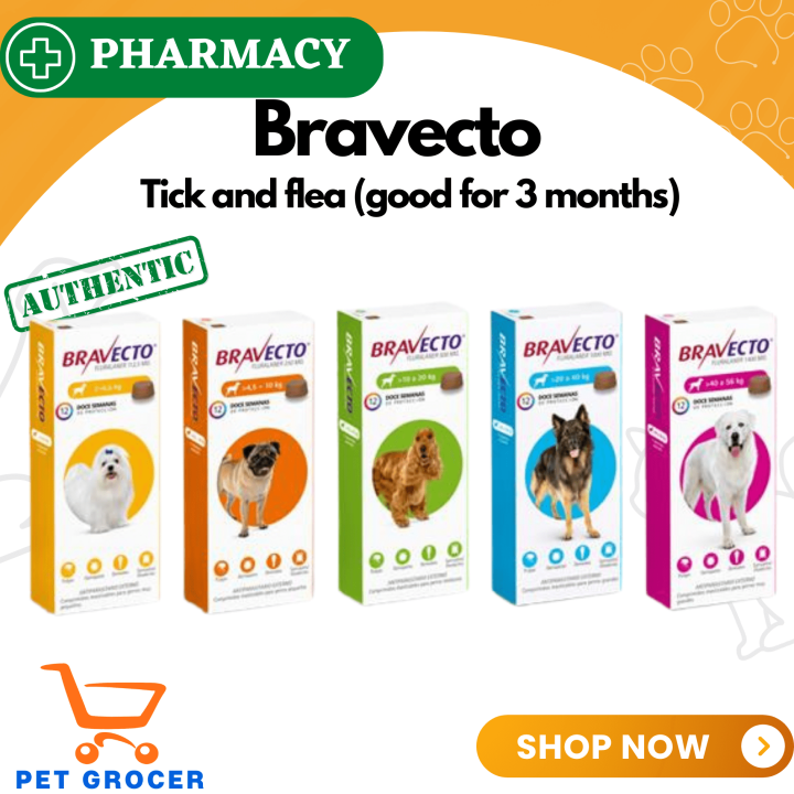 Bravecto chewable tablet for dogs (anti tick and flea for 3 months) | Lazada PH