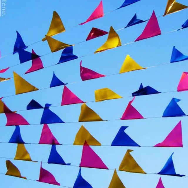 Hot spot Fiesta Banderitas Assorted Colors | Lazada PH