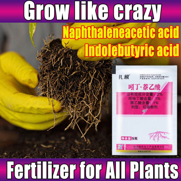 300 days valid ff Rooting hormone powder Rooting powder rapid growth ...