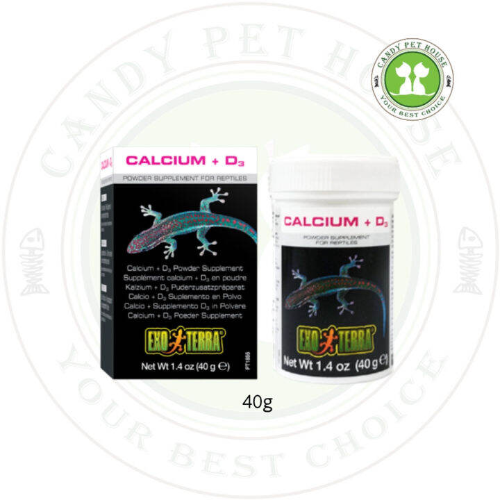 Exo Terra/Exoterra Calcium + D3 Powder Supplement for Reptiles 40g | Lazada