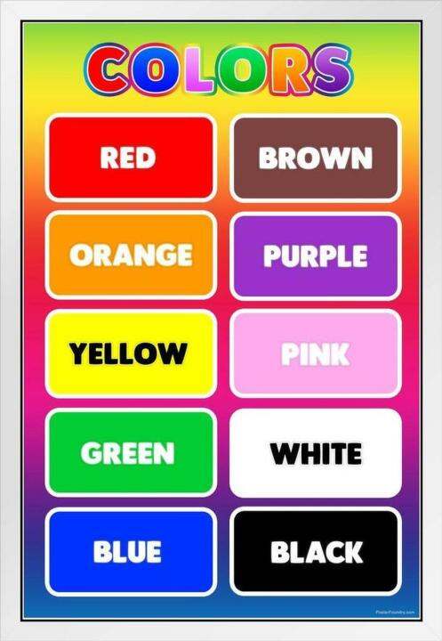 COLOR LAMINATED CHART A4 | Lazada PH