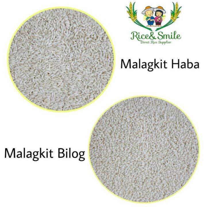 Glutinous Rice o Malagkit na bigas 1 Kilo per pack | Lazada PH