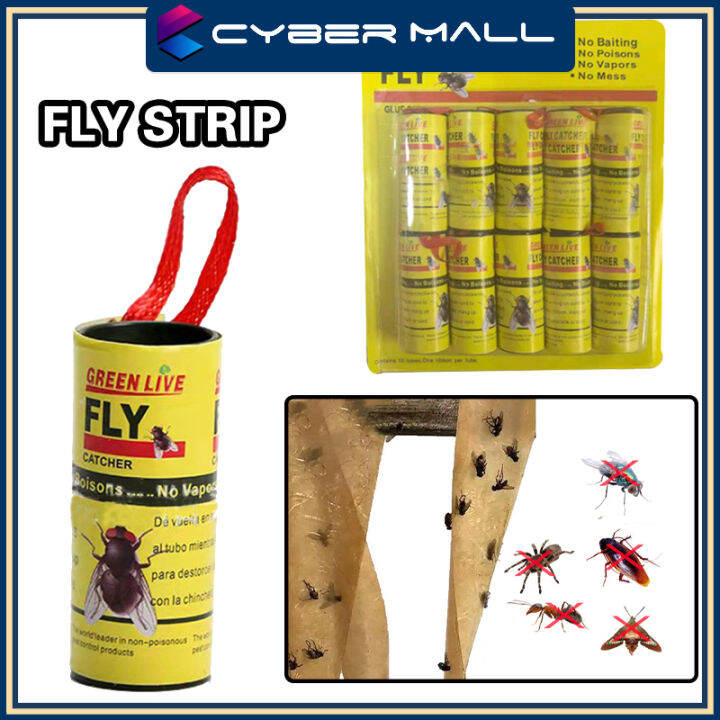 10PCS Flies Sticky Strips Strong Sticky Fly Paper Fly Trap | Lazada PH