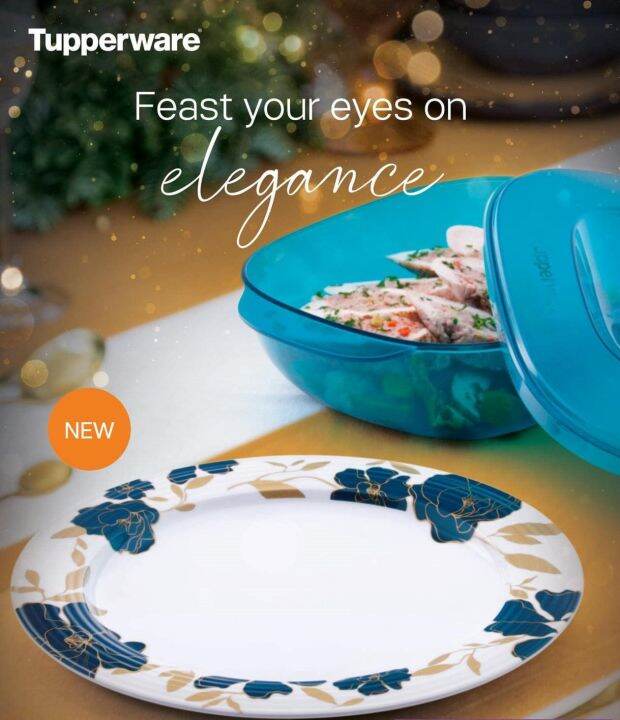 Dinner Plate 6pcs set Tupperware Melaware | Lazada PH