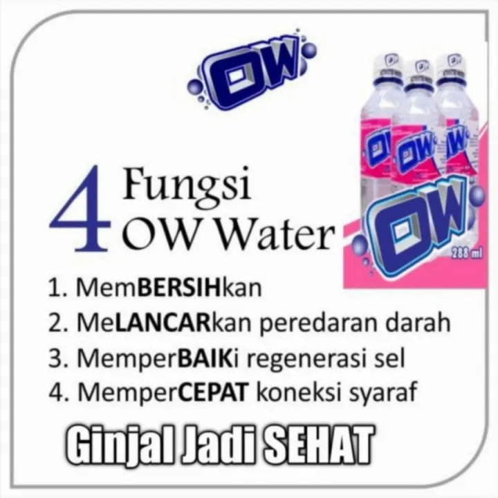 Air Oxy Air Oksigen OW Water 1 Dus isi 36pcs x 288ml | Lazada Indonesia