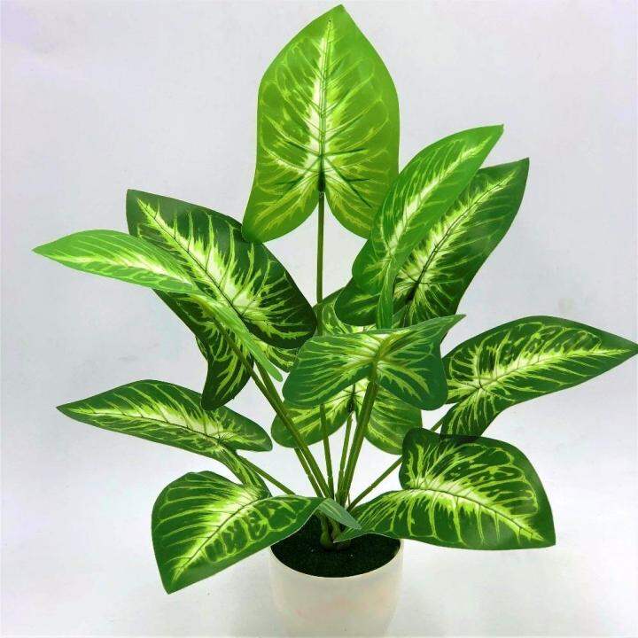 Naindo Bunga Daun Talas Bonsai hiasan ruang tamu dan kantor dengan pot ...