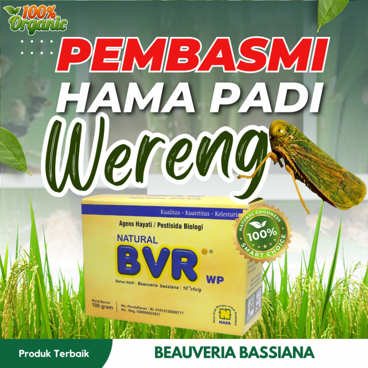 Pestisida tanaman padi/obat pestisida padi /pestisida hama wereng/obat ...