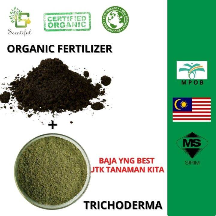 ORGANIC FERTILIZER +TRICHODERMA - FOR ALL PLANTS | FRUITS | VEGETABLES ...