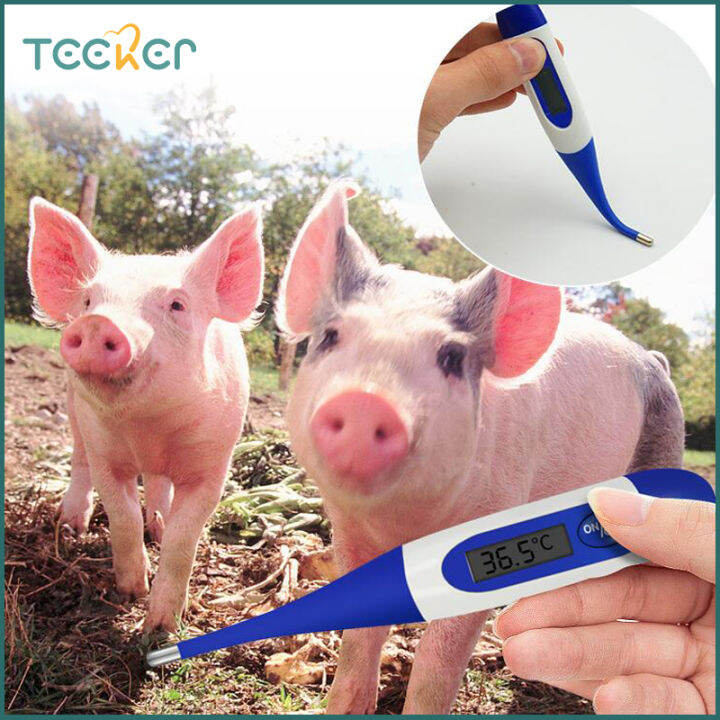 Teeker Livestock Electronic LCD Digital Temperature Measurement ...