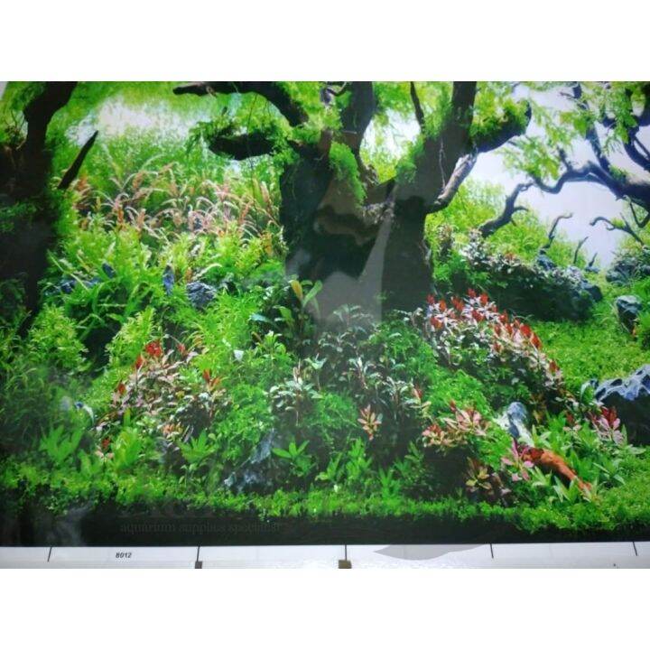 WALLPAPER BACKGROUND AQUARIUM MOTIF 8012 TINGGI 50 CM AQUASCAPE 50CM ... WALLPAPER BACKGROUND AQUARIUM MOTIF 8012 TINGGI 50 CM AQUASCAPE 50CM ...